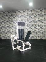 China TIG Welding Medium Loader Seated 45-degree-leg-press-weight for Home Gym Leg Workout for sale