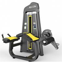 China Customized Steel Gym Equipment for Leg Curl and Leg Extension in Shandong Commercial for sale