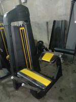 China Customized Steel Gym Equipment for Leg Curl and Leg Extension in Shandong Commercial for sale