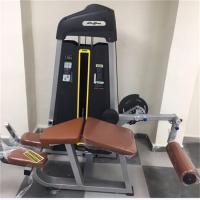 China Customized Steel Gym Equipment for Leg Curl and Leg Extension in Shandong Commercial for sale