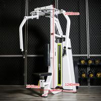 China Customized Logo Availabled Gym Equipment Pec Fly Pearl Delt Machine for in Gym Center for sale