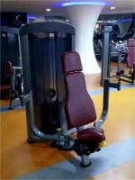 China Commercial Pin Loaded Pectoral Fly Chest Fly Machine for Enhanced Chest Development for sale