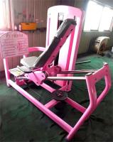 China Medium Loader Gym Equipment Adjustable Seated Leg Press Machine for Glutes and Quads for sale