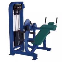 China Customized Logo Steel Fitness Abdominal Crunch Machine for Abdominal Strengthening for sale