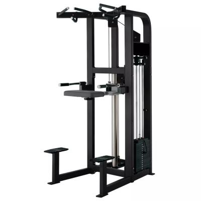 China Customized Logo Pin Loaded Fitness Selected Assist Dip Chin Machine For Bodybuilding 262KG for sale