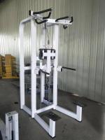 China Customized Logo Pin Loaded Fitness Selected Assist Dip Chin Machine For Bodybuilding 262KG for sale