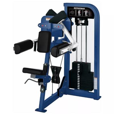 China Customized Logo Gym Professional Fitness Equipment Pin Loaded Lateral Raise Machine for sale
