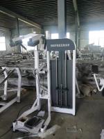China Customized Logo Gym Professional Fitness Equipment Pin Loaded Lateral Raise Machine for sale