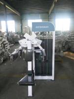 China Customized Logo Gym Professional Fitness Equipment Pin Loaded Lateral Raise Machine for sale