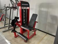 China Customized Logo Medium Loader Pin Loaded Seated Leg Extension Commercial Gym Fitness Machine for sale
