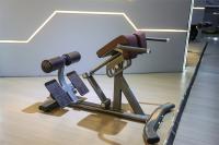 China Commercial Fitness Equipment Back Extension Roman Chair with 1360*790*880 Metal Frame for sale