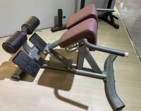 China Commercial Fitness Equipment Back Extension Roman Chair with 1360*790*880 Metal Frame for sale