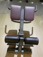China Commercial Fitness Equipment Back Extension Roman Chair with 1360*790*880 Metal Frame for sale