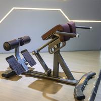 China Commercial Fitness Equipment Back Extension Roman Chair with 1360*790*880 Metal Frame for sale