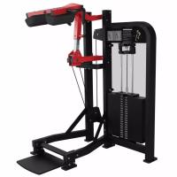 China Body Building Medium Loader Standing Calf Raise Machine for Gym Leg Strength Exercise for sale