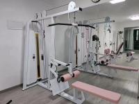 China Commercial Gym Fitness Equipment Seated Low Pully Row with Customized Logo Availabled for sale