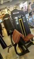 China Medium Loader Gym Fitness Equipment Pin Loaded Seated Bicep Curl Machine for Workout for sale