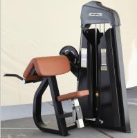China Steel Biceps Tricep Curl Equipment for Medium Loader Fitness Gym Machine at Befreeman for sale