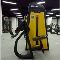 China Steel Biceps Tricep Curl Equipment for Medium Loader Fitness Gym Machine at Befreeman for sale