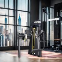 China Medium Loader Befreeman Glute Isolator Ham Raise Machine for Commercial Gym Equipment for sale