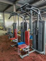 China Gym Pin Load Equipment Rear Delt Pec Fly Machine Customerized for Strength Training for sale