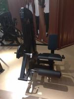 China Befreeman Seated Leg Extension Machine for Commercial Fitness and Strength Training for sale