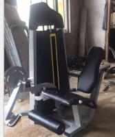 China Befreeman Seated Leg Extension Machine for Commercial Fitness and Strength Training for sale