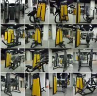 China Befreeman Seated Leg Extension Machine for Commercial Fitness and Strength Training for sale