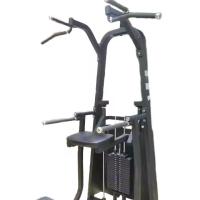 China Customizable Pin Loaded Dip/Chin Assisted Gym Machine Ideal for Shoulder Leg Training for sale
