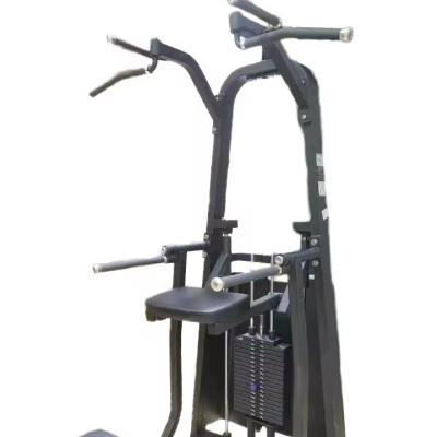 China Customizable Pin Loaded Dip/Chin Assisted Gym Machine Ideal for Shoulder Leg Training for sale