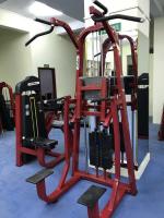 China Customizable Pin Loaded Dip/Chin Assisted Gym Machine Ideal for Shoulder Leg Training for sale
