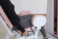 China Medium Loader Pin Loaded Abdominal Crunch Machine for Commercial Steel Gym Equipment for sale
