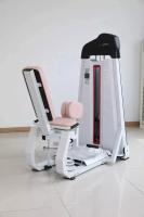 China Medium Loader Pin Loaded Abdominal Crunch Machine for Commercial Steel Gym Equipment for sale