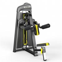 China Body Building Training Gym Fitness Exercise Machine Steel Lateral Raise 1330*860*1460 for sale