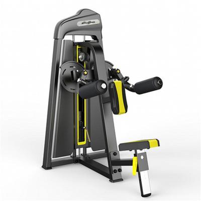 China Body Building Training Gym Fitness Exercise Machine Steel Lateral Raise 1330*860*1460 for sale