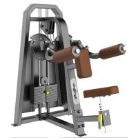 China Body Building Training Gym Fitness Exercise Machine Steel Lateral Raise 1330*860*1460 for sale