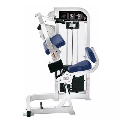 China Customerized Medium Loader Triceps Extension Gym for Results by Befreeman Strength for sale