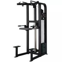 China Steel Dip/Chin Assisted Chin Pull Up Machine for Strength Training in Commercial Gym for sale