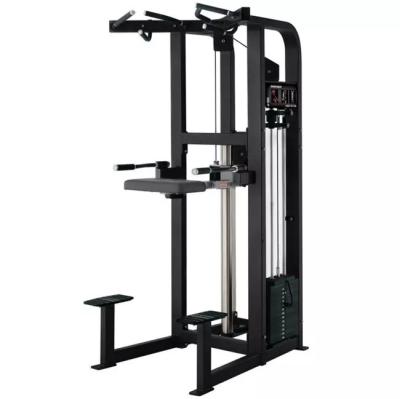 China Steel Dip/Chin Assisted Chin Pull Up Machine for Strength Training in Commercial Gym for sale