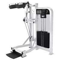 China Gym Center Standing Calf Raise Machine Steel Bodybuilding at Befreeman for sale