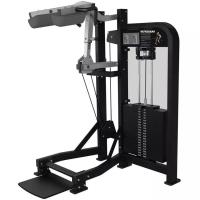 China Gym Center Standing Calf Raise Machine Steel Bodybuilding at Befreeman for sale