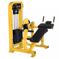 China Customerized Abdominal Fitness Machine for Gym Centre at Befreeman Gym Equipment for sale