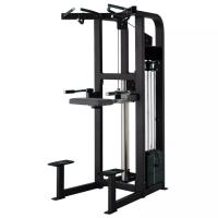 China Steel Gym Center Strength Training Machine Chin Up Bar Assist Dip Chin for Upper Body for sale