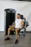 China TIG Welding Hydraulic Circuit Biceps Training Machine for Arm Muscle Triceps Extension Gym for sale