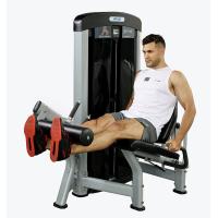 China Welding TIG Welding Technology Leg Extension and Curl Gym Equipment for Commercial for sale