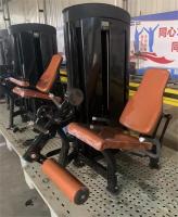 China Welding TIG Welding Technology Leg Extension and Curl Gym Equipment for Commercial for sale