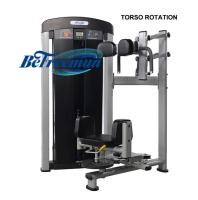 China Two Layer Electrostatic Powder Coating Gym Fitness Equipment Rotary Torso Machine for sale