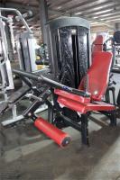 China Customizable Logo Commercial Strength Seated Leg Curl Extension for Workout Equipment for sale