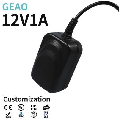 China Switch Lite 12V 1A Wall Mount Power Supply OEM / ODM Customized for sale