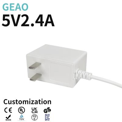 China 5V 2.4A Wall Mounted Power Adapters For Bose Soundlink Thermal Print Trasound Beauty Equipment for sale
